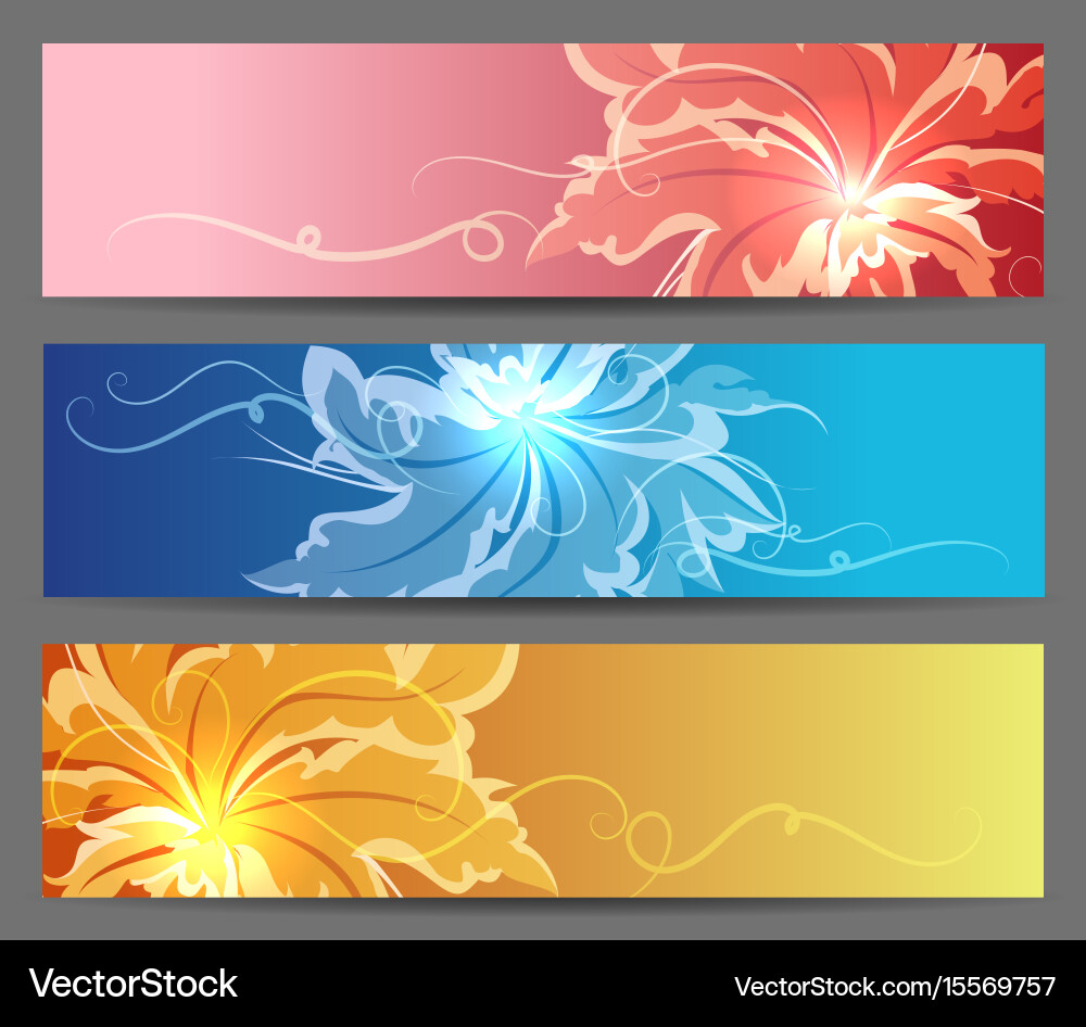 Colorful flower banners set Royalty Free Vector Image
