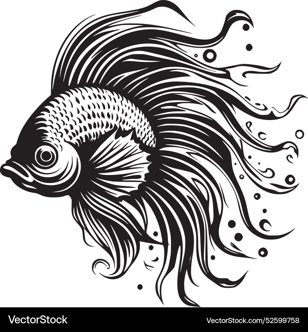 Betta fish - black and white isolated icon Vector Image