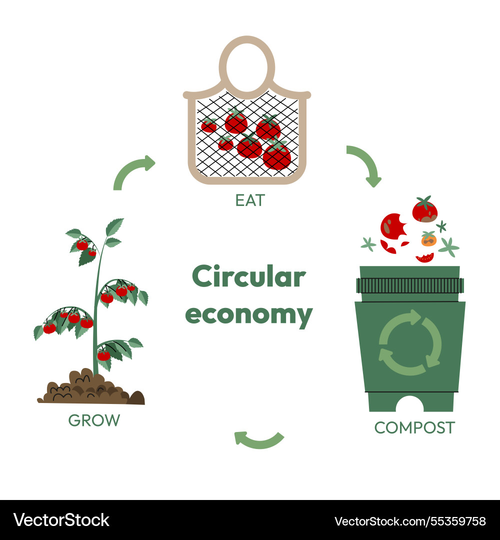 Circular economy compost and growing vegetables Vector Image