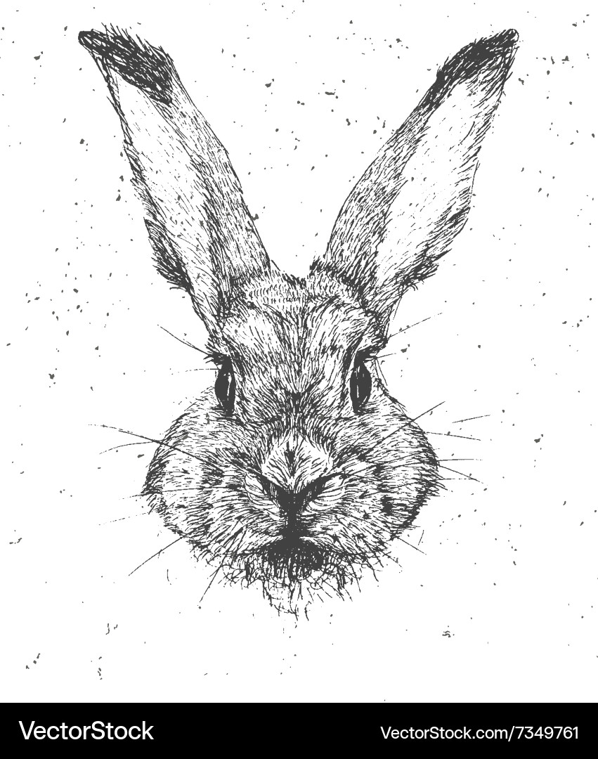 Vintage graphic rabbit print Royalty Free Vector Image