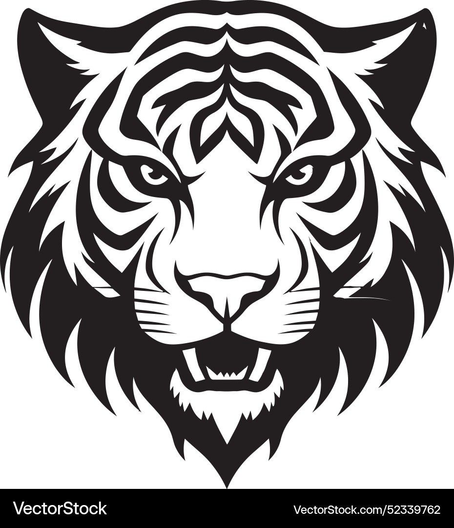 Graphic tiger drawinggrayscale image Royalty Free Vector