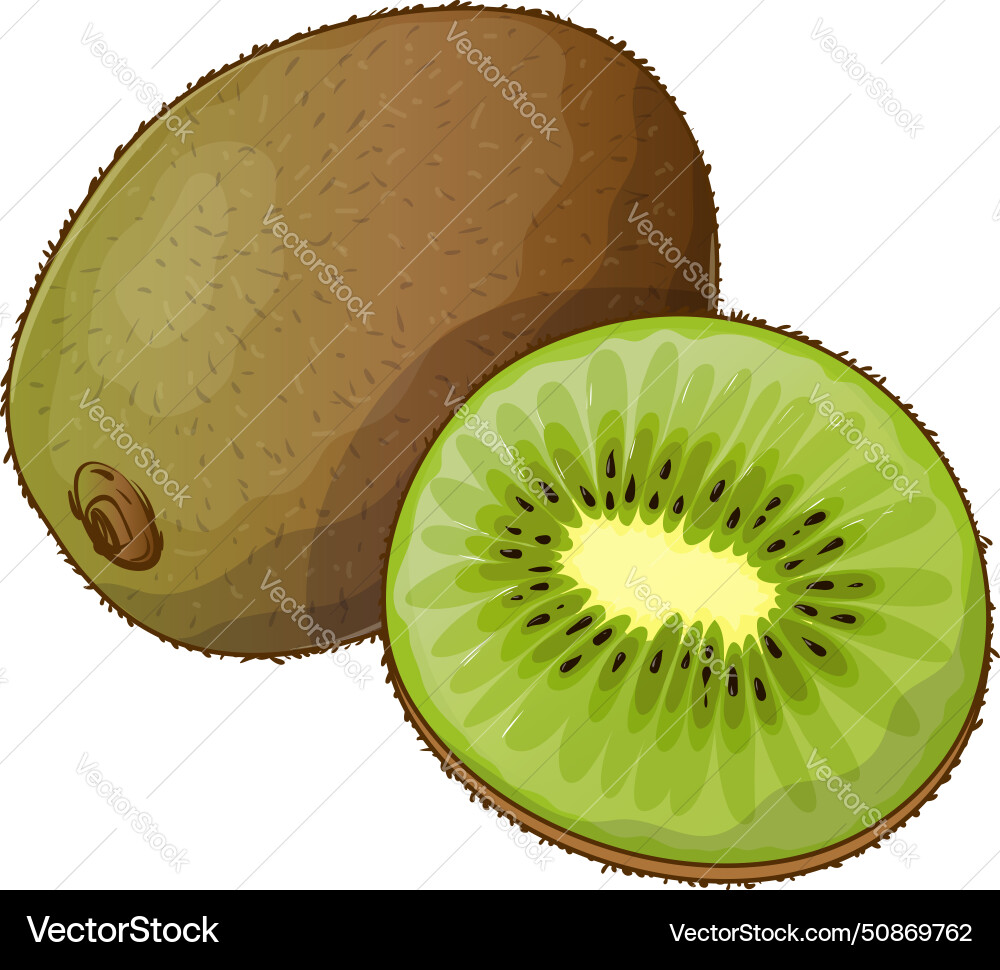Kiwi Royalty Free Vector Image - VectorStock