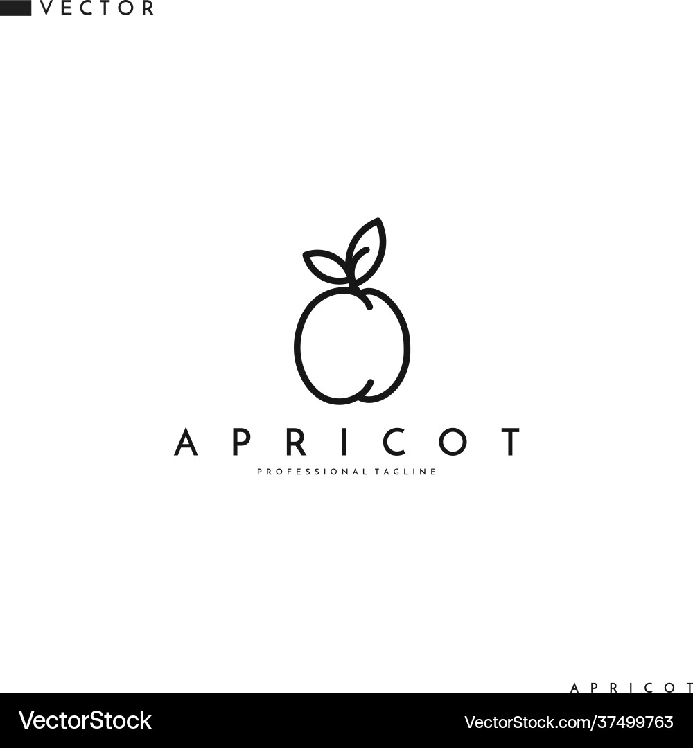 Apricot logo line art Royalty Free Vector Image