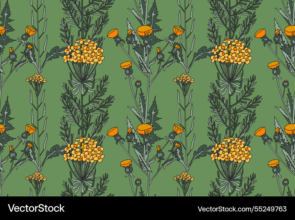 Botanical abstract plant seamless pattern Vector Image