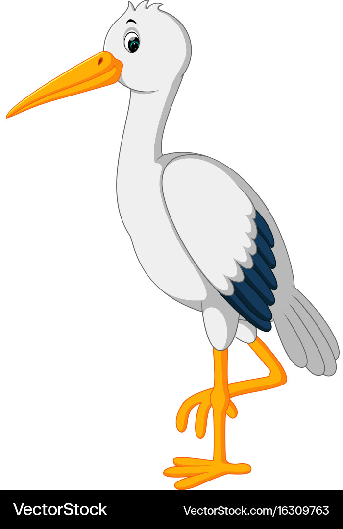 Cute stork cartoon Royalty Free Vector Image - VectorStock