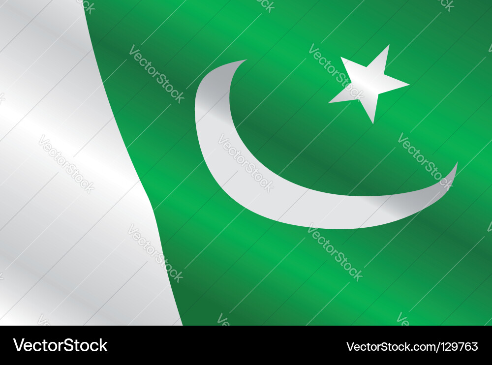 Pakistan Flag Royalty Free Vector Image - VectorStock