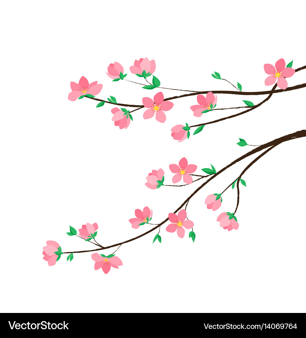 Branches with flowers Royalty Free Vector Image