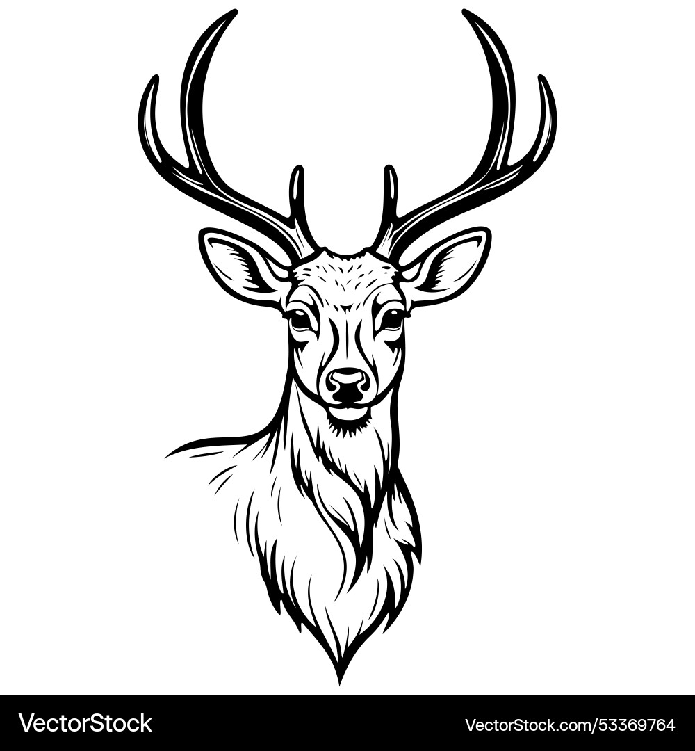 Deer Outline Drawing 340+ Silhouette Of Deer Line Art Stock