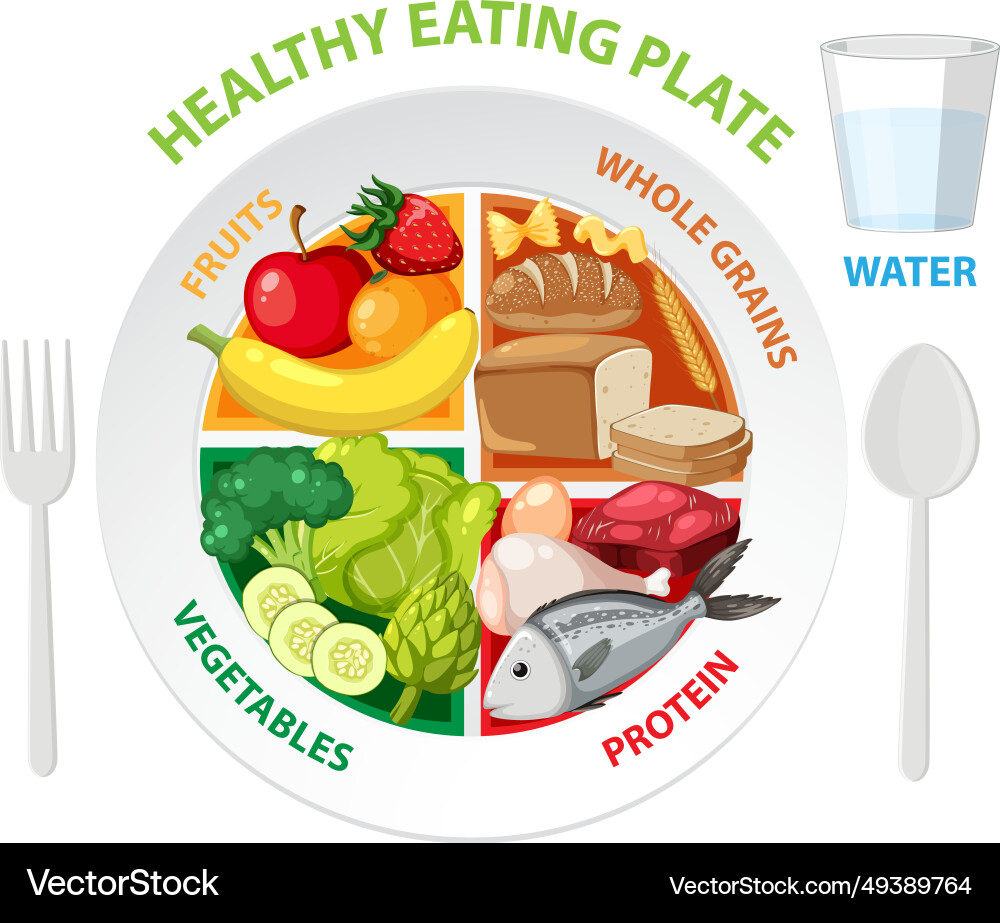 Healthy eating plate with balanced portions Vector Image