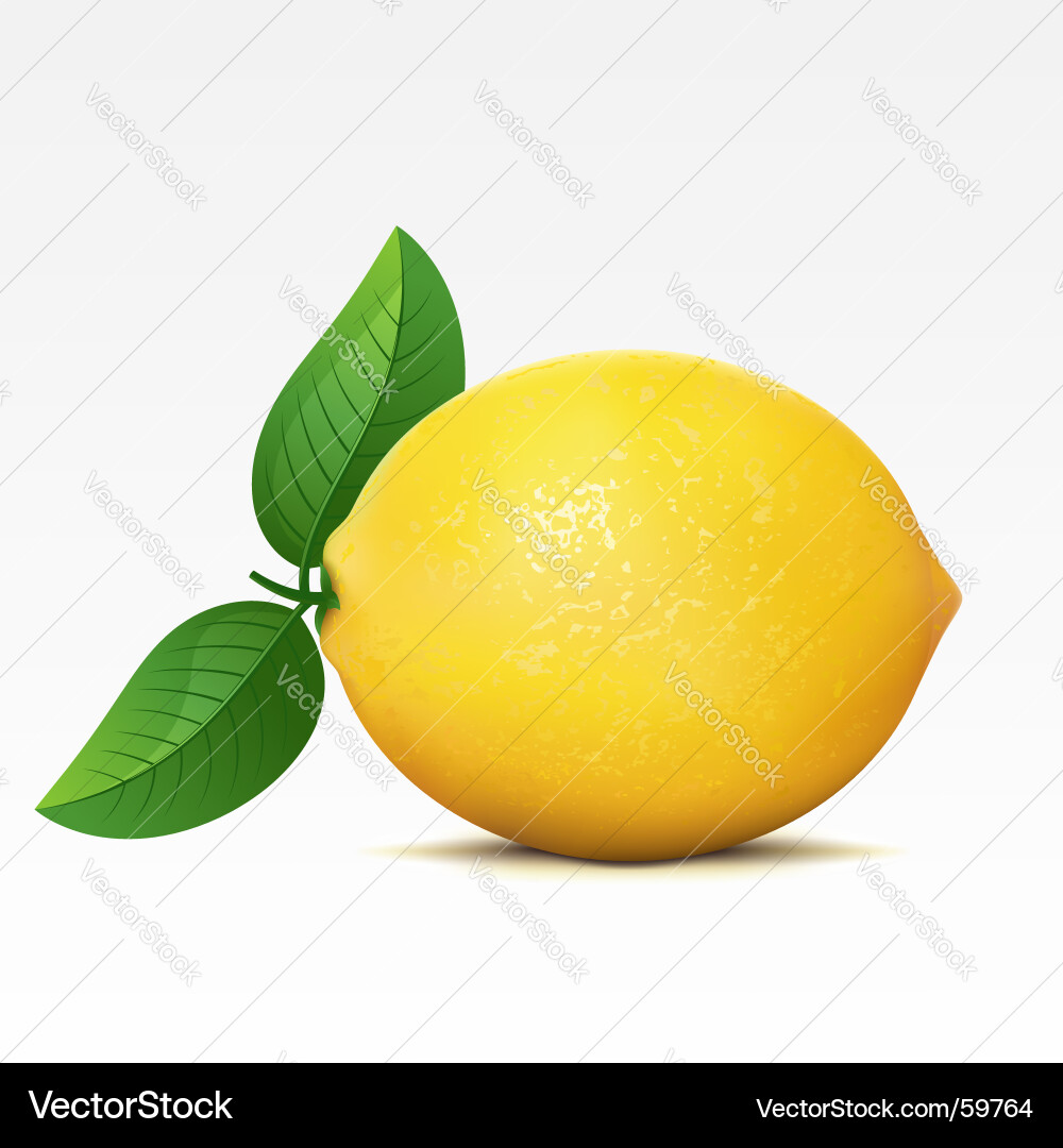 Lemon Royalty Free Vector Image - VectorStock