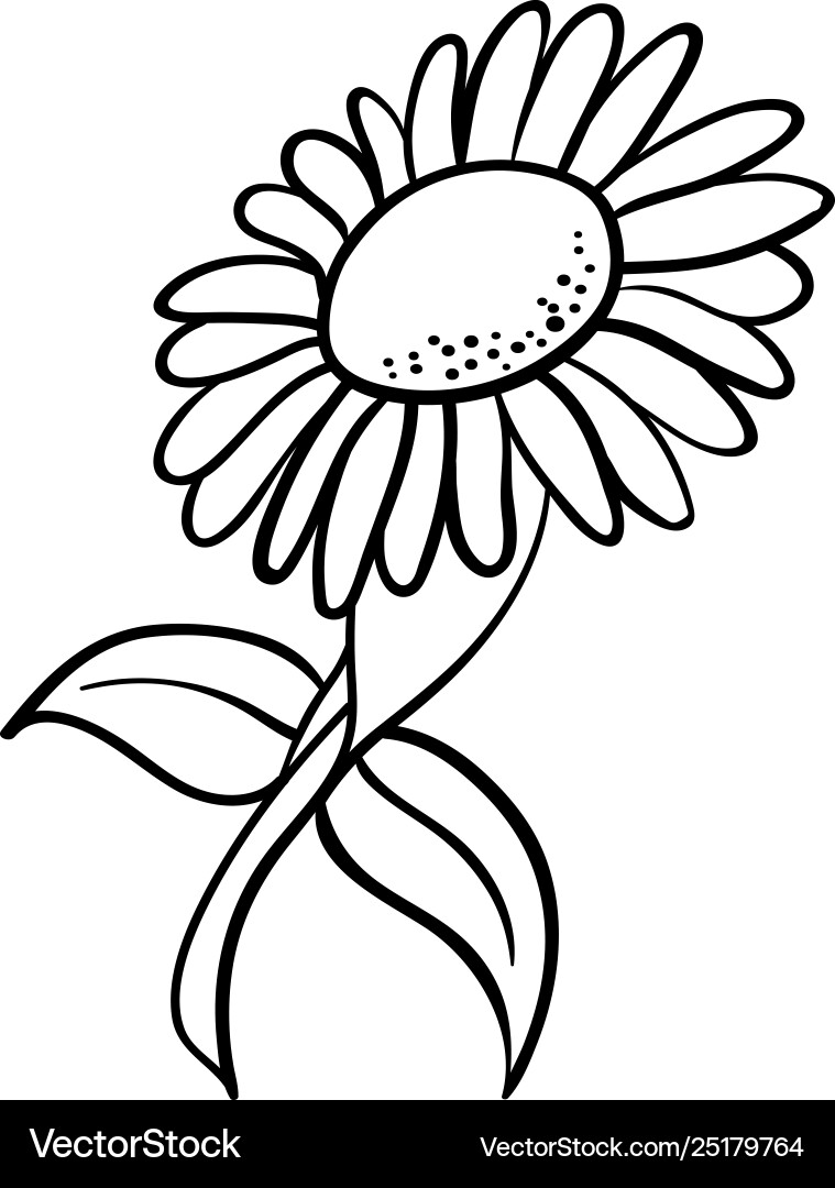 Sunflower eps Royalty Free Vector Image - VectorStock