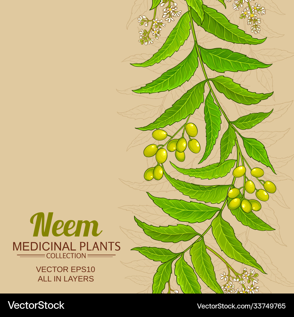 Neem background (33749765) – Royalty-Free Vector | VectorStock