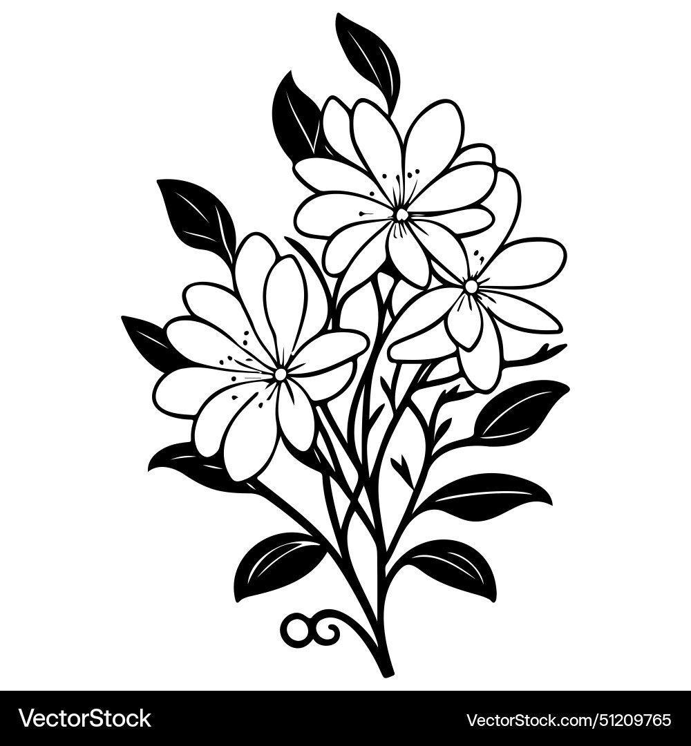 Orchid flower sketch hand draw Royalty Free Vector Image
