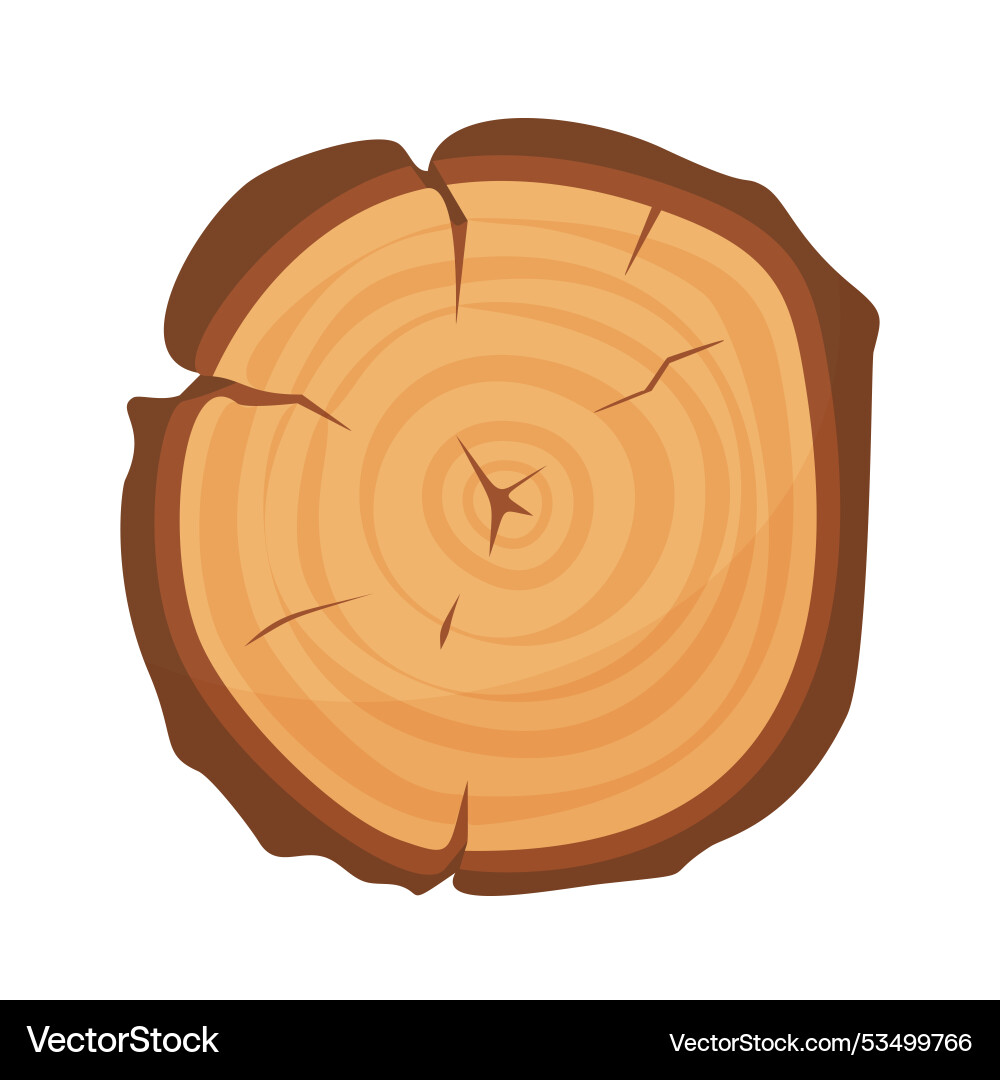 Wooden log cross section Royalty Free Vector Image