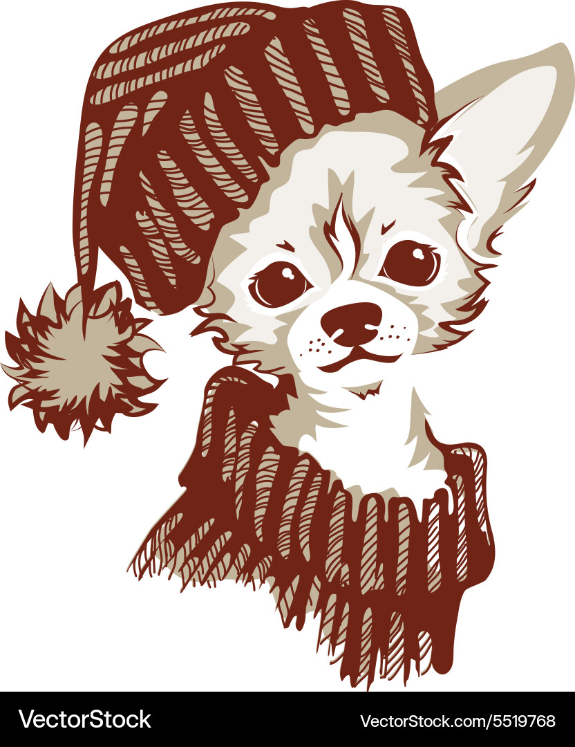 Chihuahua dog Royalty Free Vector Image - VectorStock