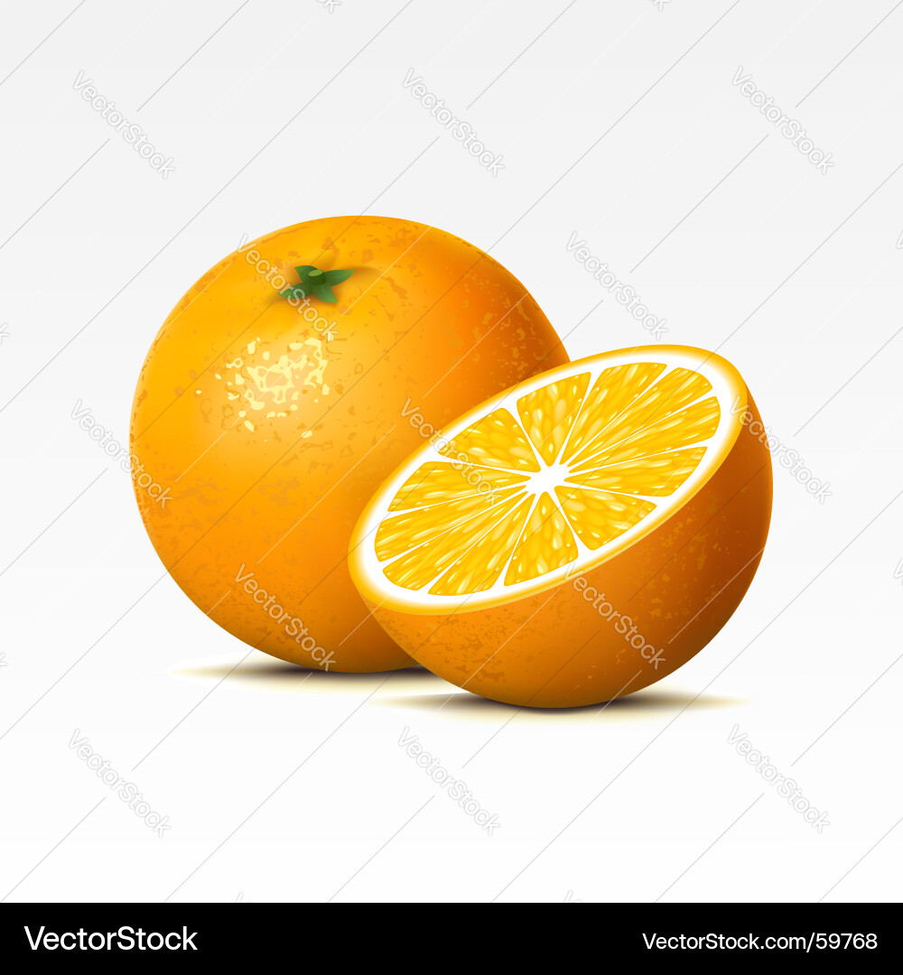 Orange Royalty Free Vector Image - VectorStock