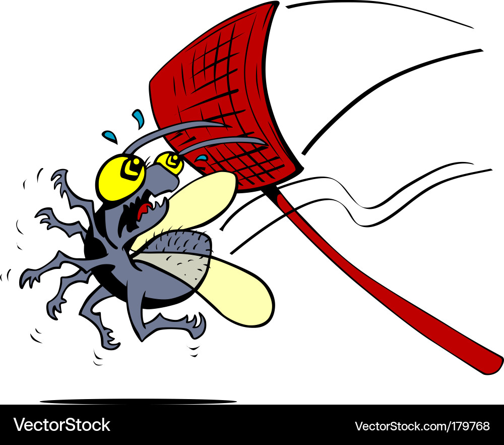 Shoo fly Royalty Free Vector Image - VectorStock