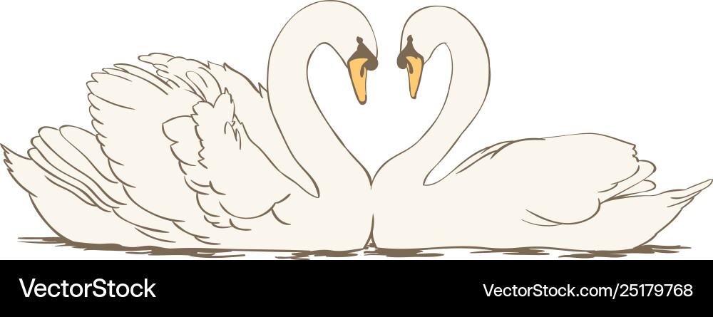 Swan eps Royalty Free Vector Image - VectorStock