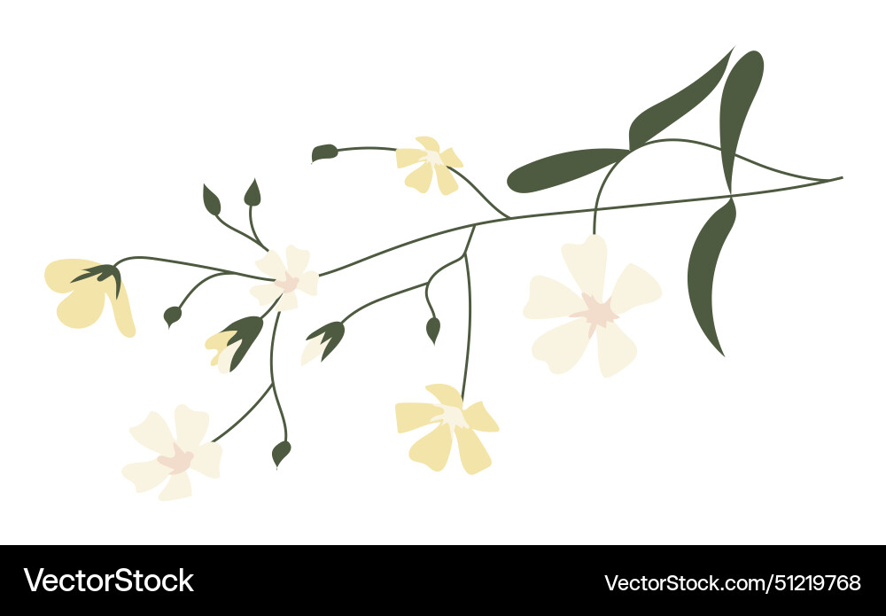 White gentle daisy flowers on twig in flat design Vector Image
