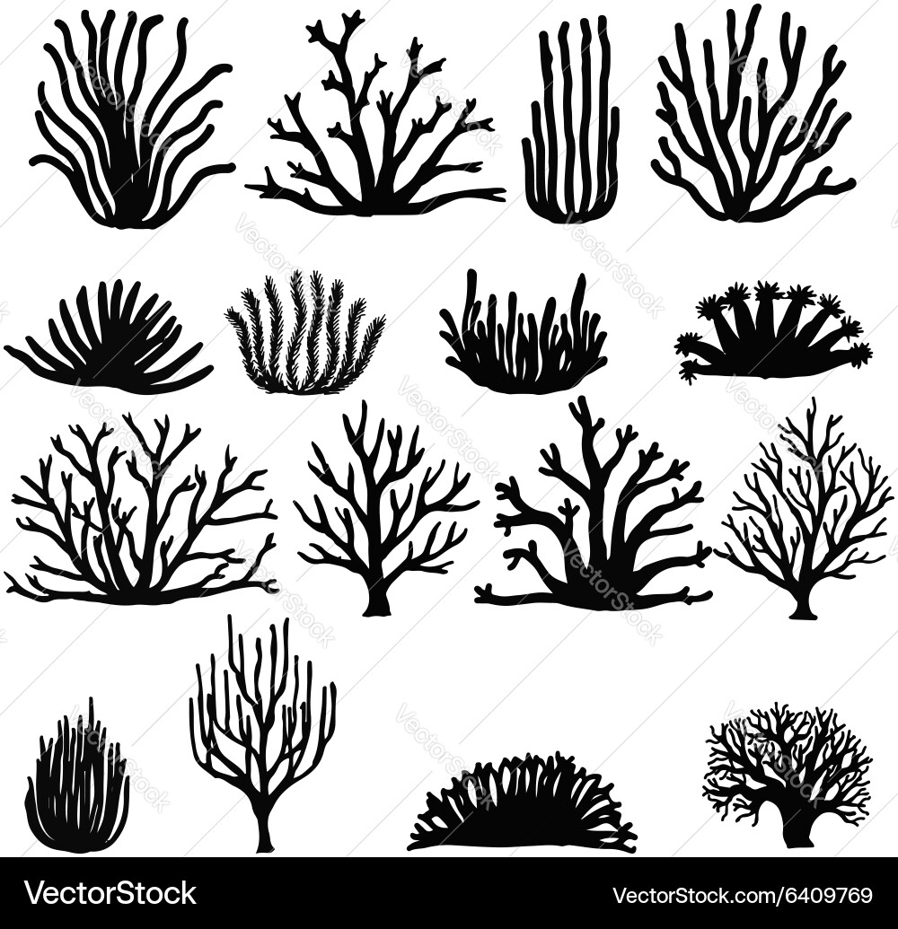 Hand drawn coral Royalty Free Vector Image - VectorStock