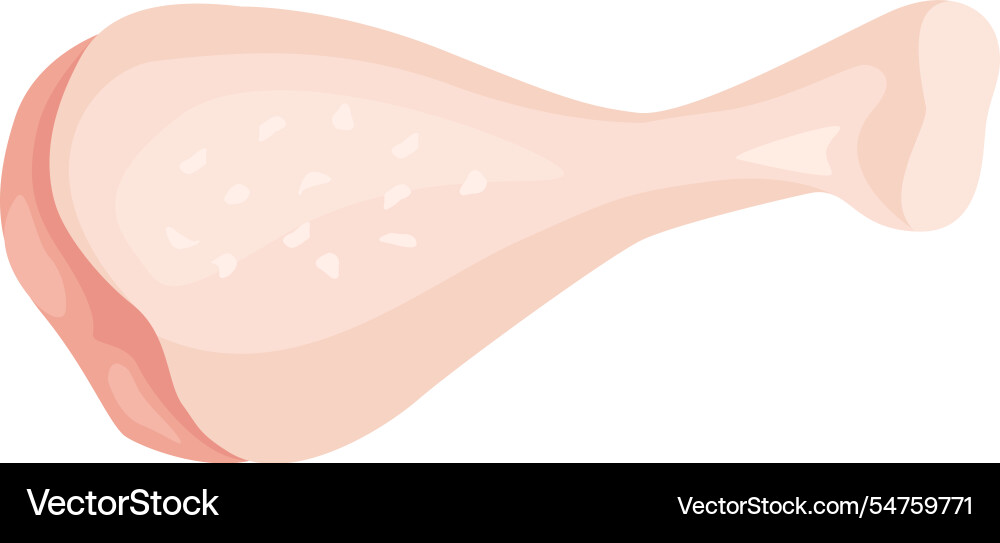 Single raw chicken leg quarter isolated on white Vector Image