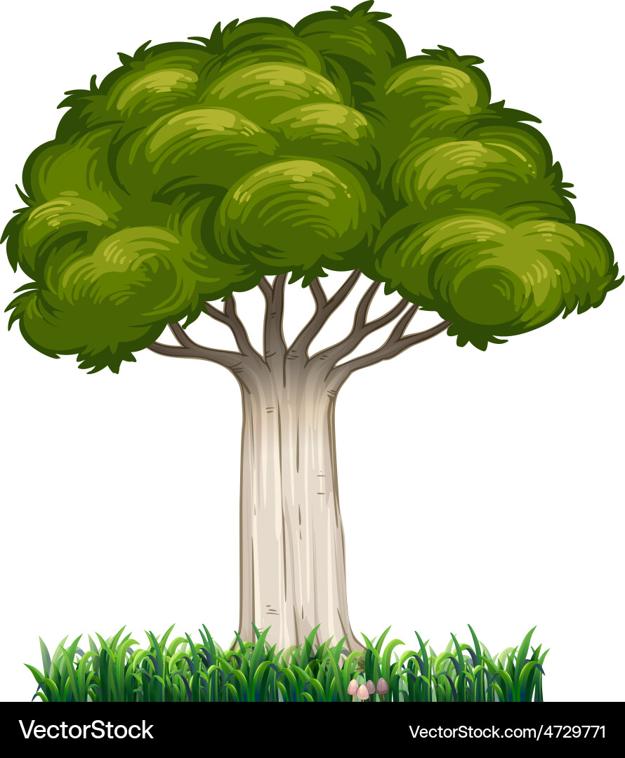 Single tree Royalty Free Vector Image - VectorStock