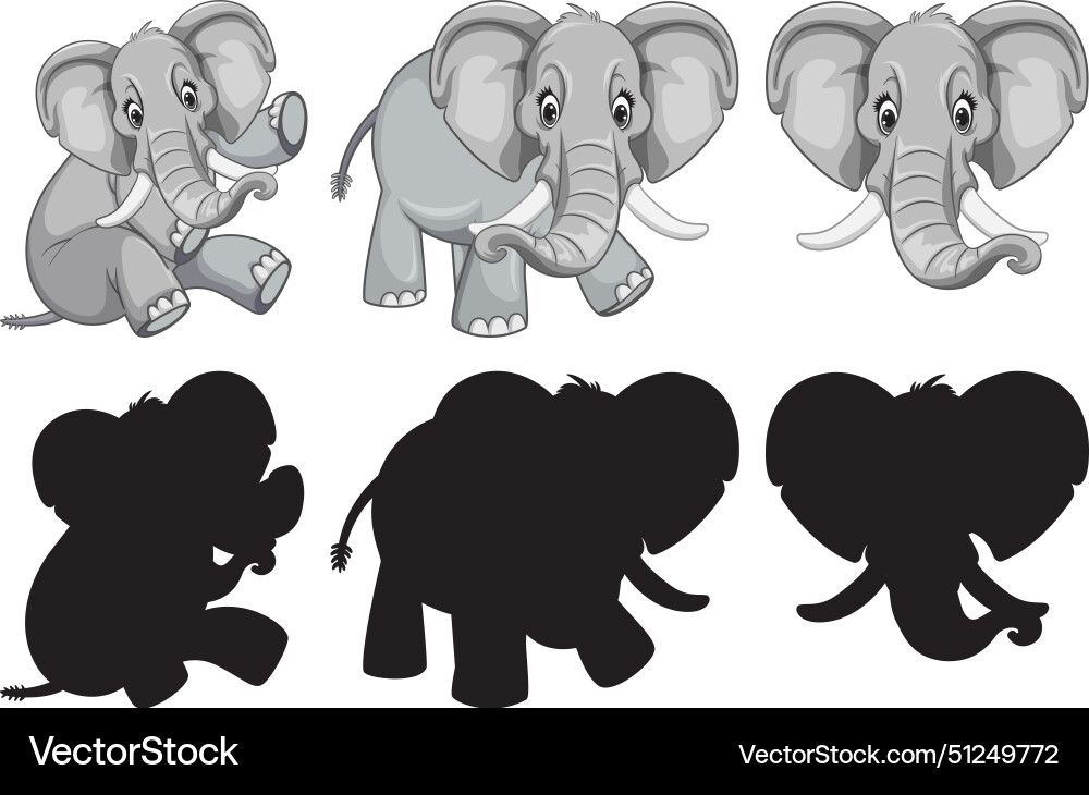 Collection of elephants in various poses Vector Image