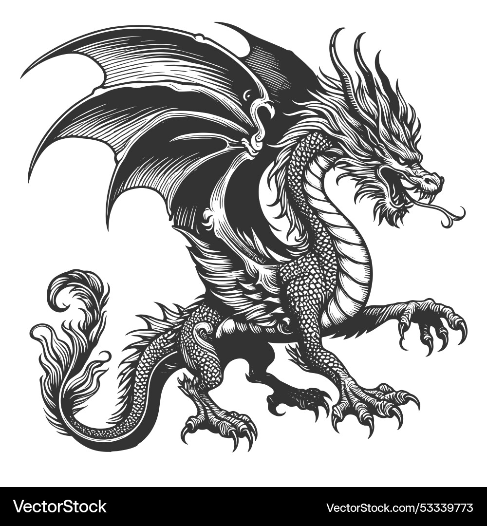 Dragon detailed wings and tail Royalty Free Vector Image