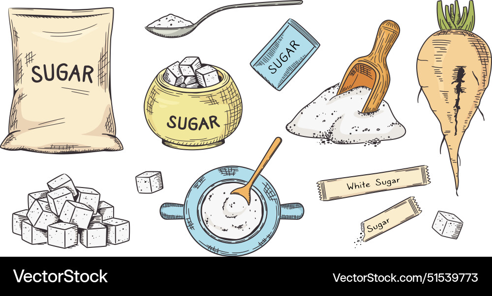 Hand drawn white sugar sketch sugar beet Vector Image