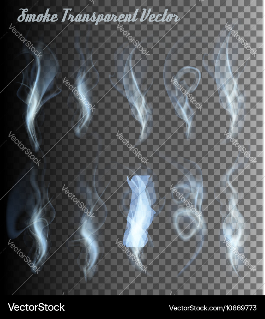 Transparenter Rauch Lizenzfreies Vektorbild - VectorStock