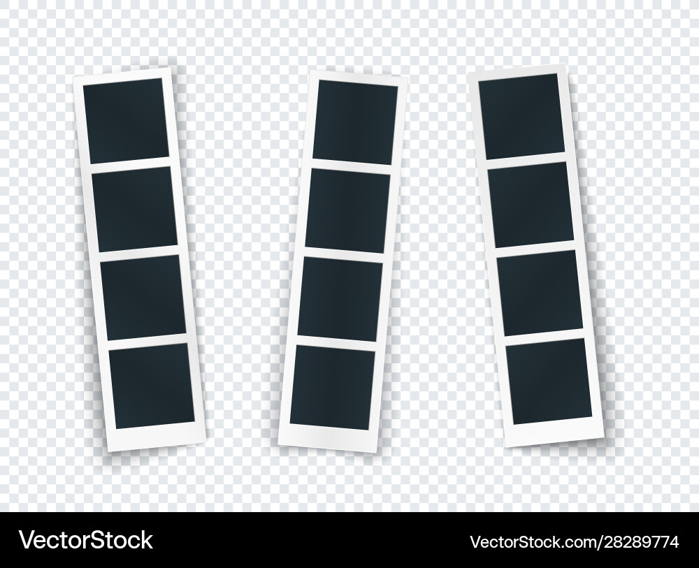 Photo Strip Collection - Vertical Layout Vector Image