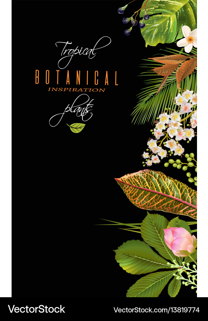 Tropical Botanical Banner Royalty Free Vector Image