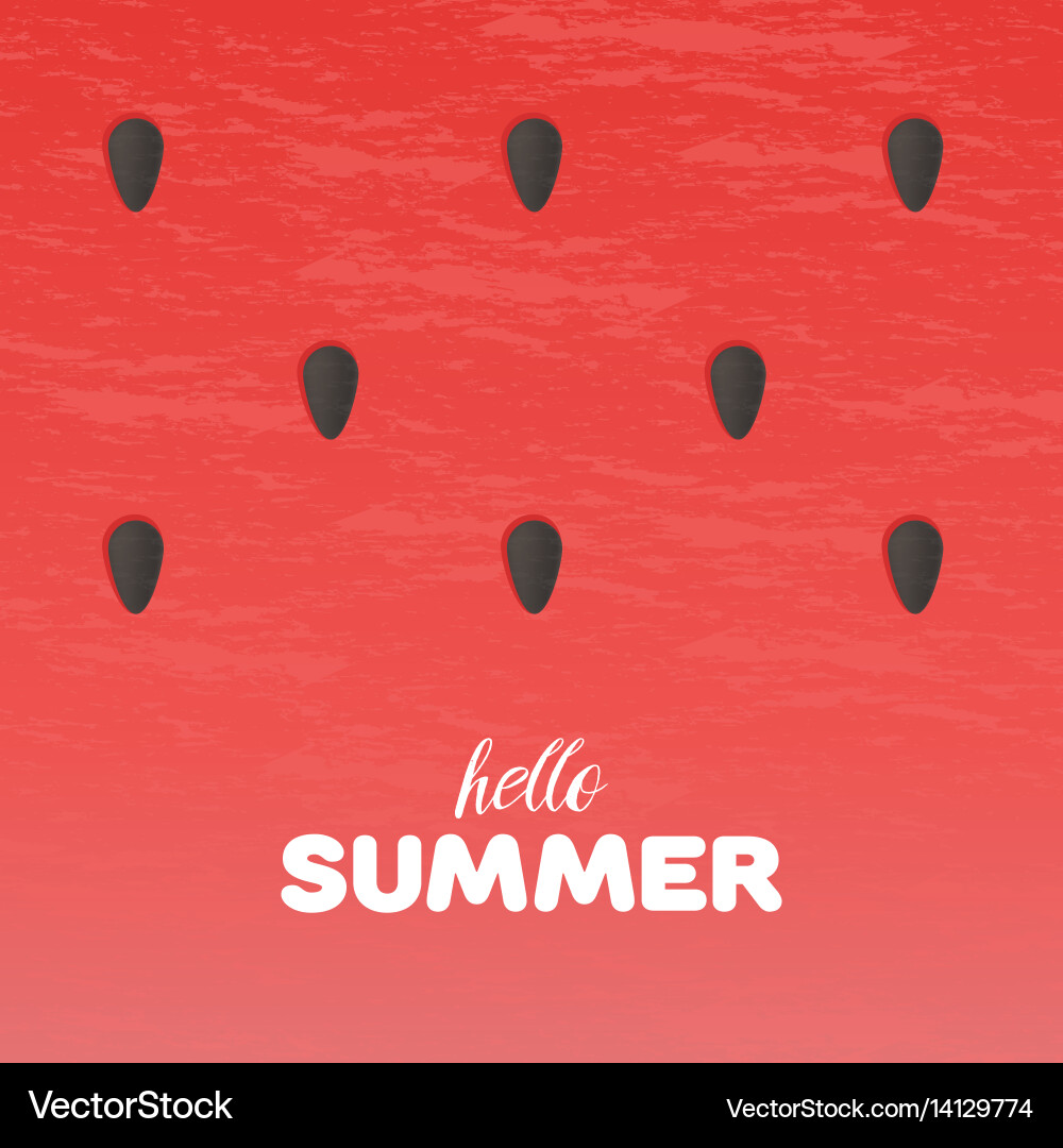 Watermelon texture background with hello summer Vector Image
