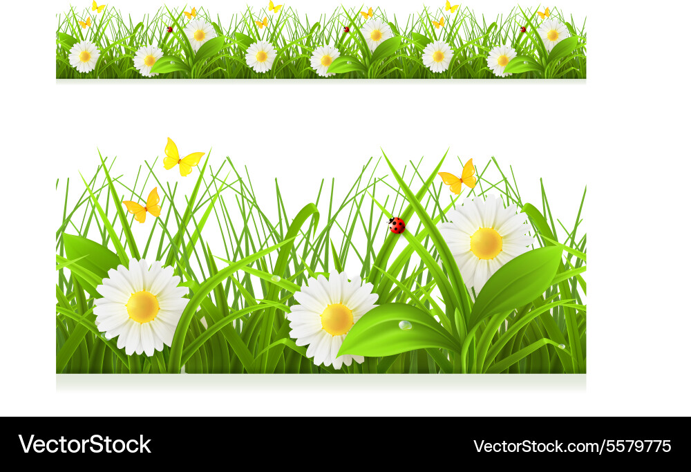 Detailed Spring Grass Border Royalty Free Vector Image
