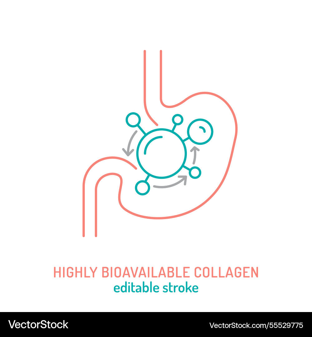 Minimalist line icon highly bioavailable collagen Vector Image