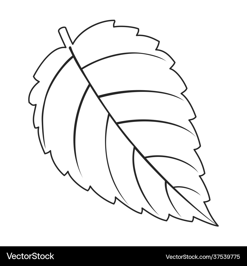Mint leaf outline icon Royalty Free Vector Image