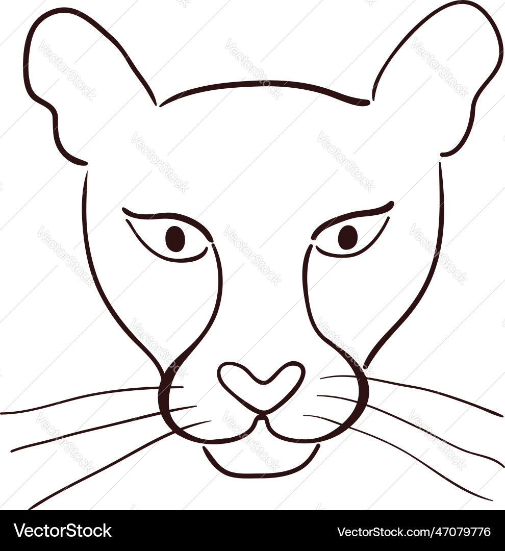 Simple Cougar Drawing