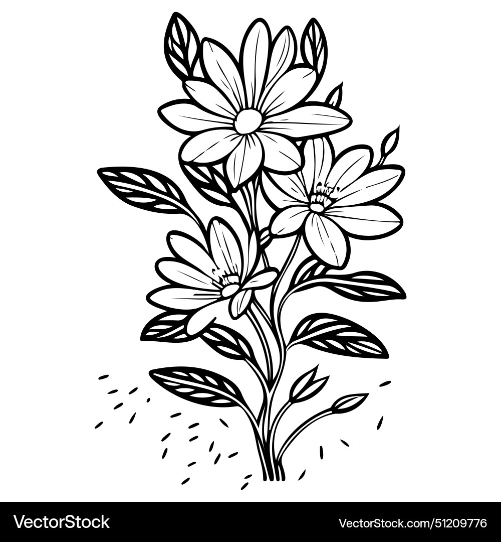 Orchid flower sketch hand draw Royalty Free Vector Image