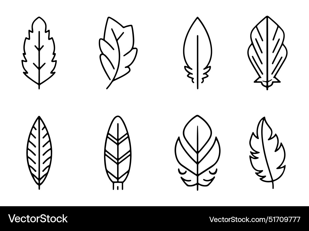 Feather leaves related editable stroke outline Vector Image