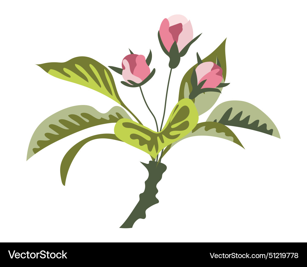 Abstract flower buds on branch in flat design Vector Image