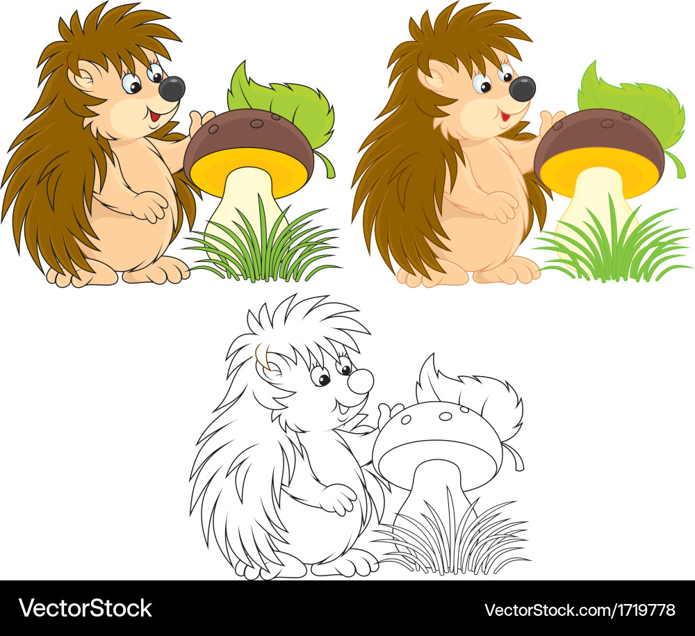Hedgehog Royalty Free Vector Image - VectorStock