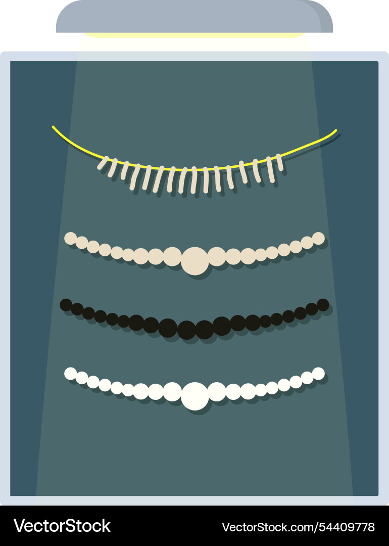 Jewelry store display with necklaces Royalty Free Vector