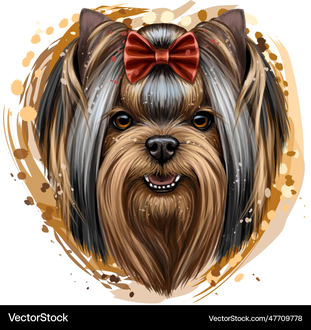 Yorkshire terrier a color artistic image Vector Image