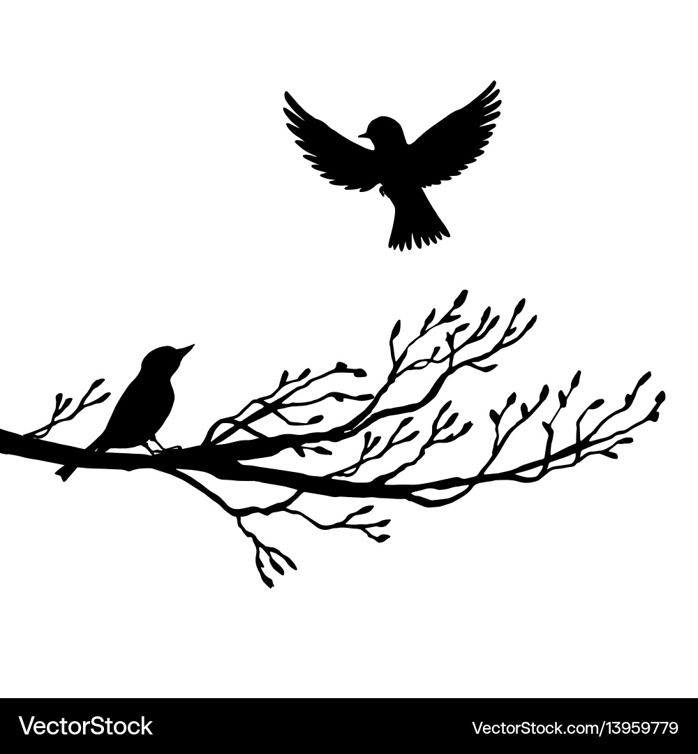 Birds at tree silhouettes Royalty Free Vector Image