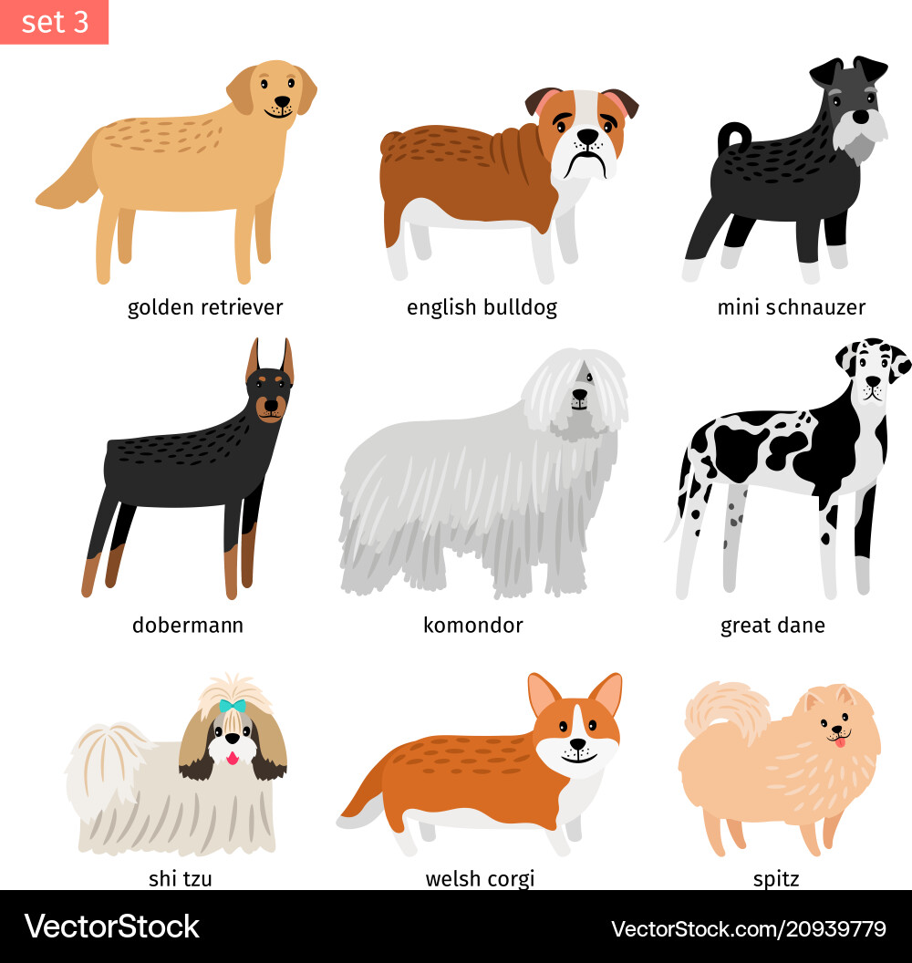 Dog Breed Collection - Great Dane, Komondor, & Mor