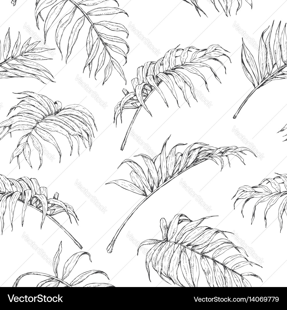 Hand drawn palm fronds pattern Royalty Free Vector Image