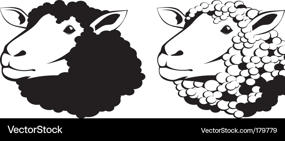 Sheep Royalty Free Vector Image - VectorStock