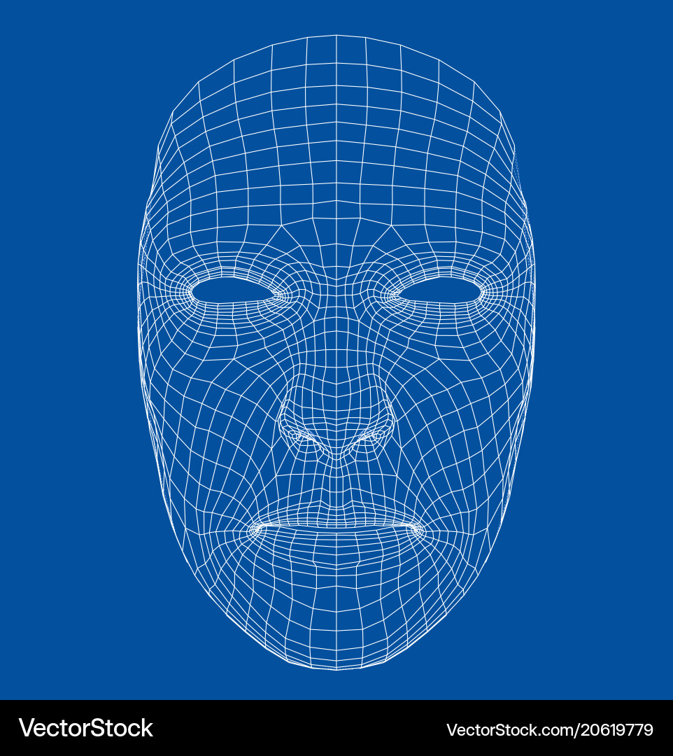 Wire-frame abstract human face Royalty Free Vector Image