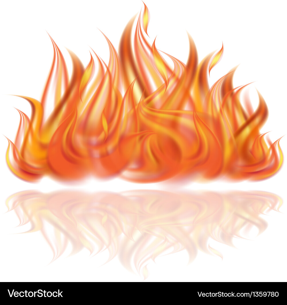 Fire on white background Royalty Free Vector Image