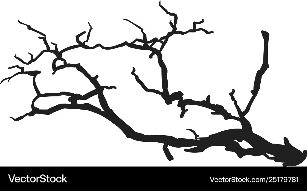 Tree branch eps Royalty Free Vector Image - VectorStock